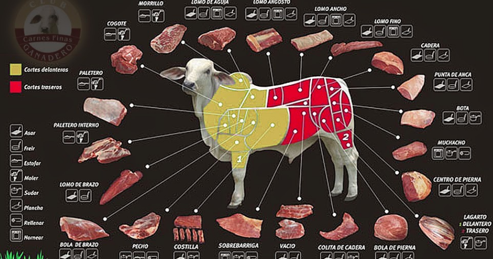 COCINA BASICA HIGIENE Y GASTRONOMIA: DESPIECE DE RES COLOMBIA