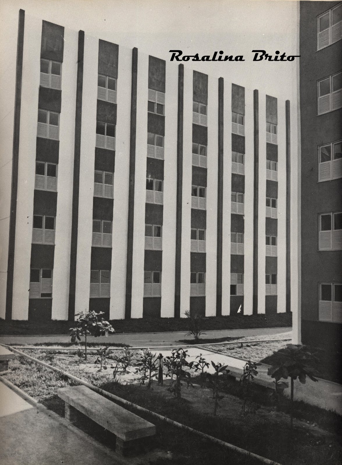 Cidade de Deus: A verdadeira historia, e como surgiu a Cidade de Deus,