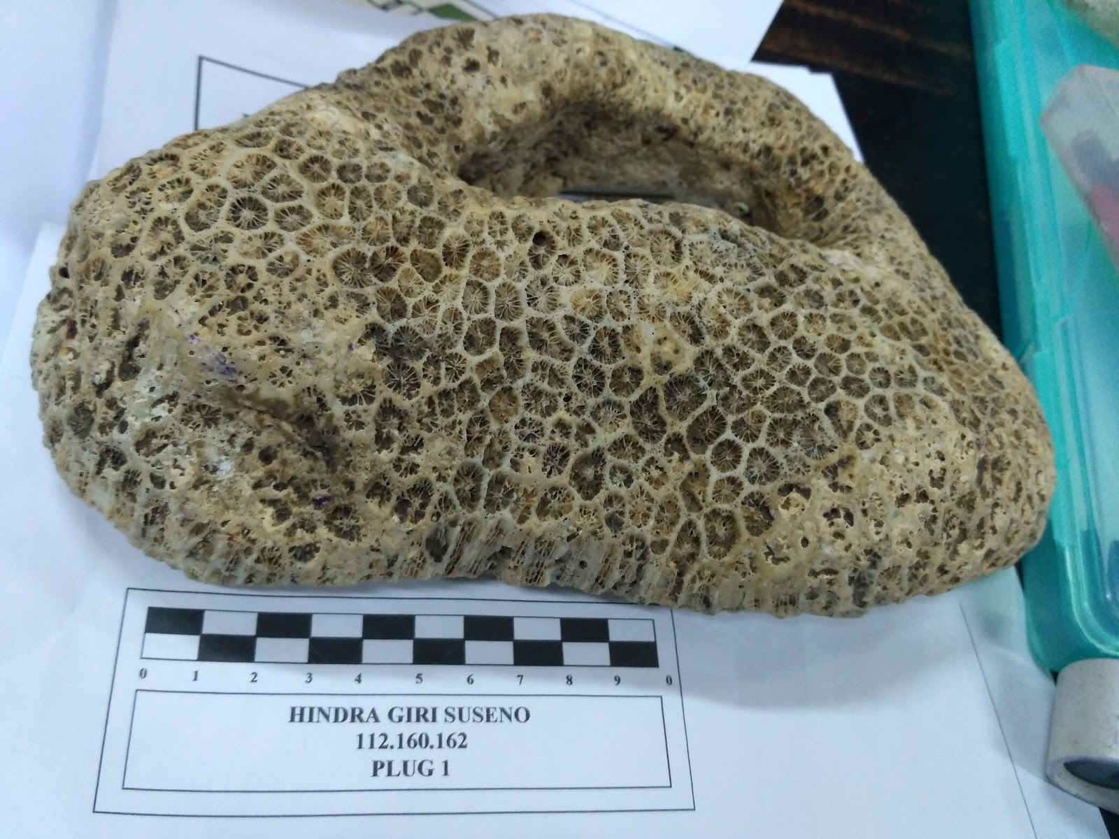 DESKRIPSI BATU APUNG (PUMICE)