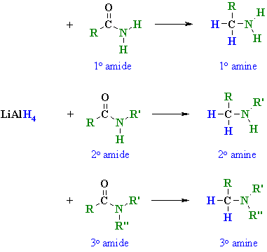 chemistry: amide bond