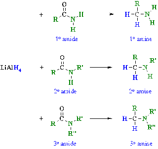 chemistry: amide bond
