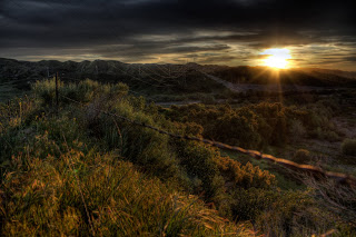 Marc Ewalt Photography