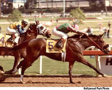 They Are Off: Chief's Crown