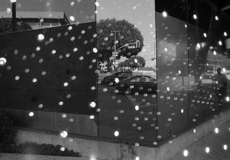 On white walls: Jason Evans