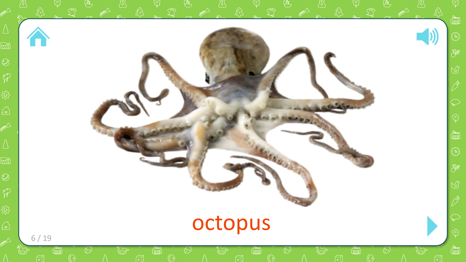 Flashcards for Kids: Octopus - Ocean Life - Flashcards For Kids