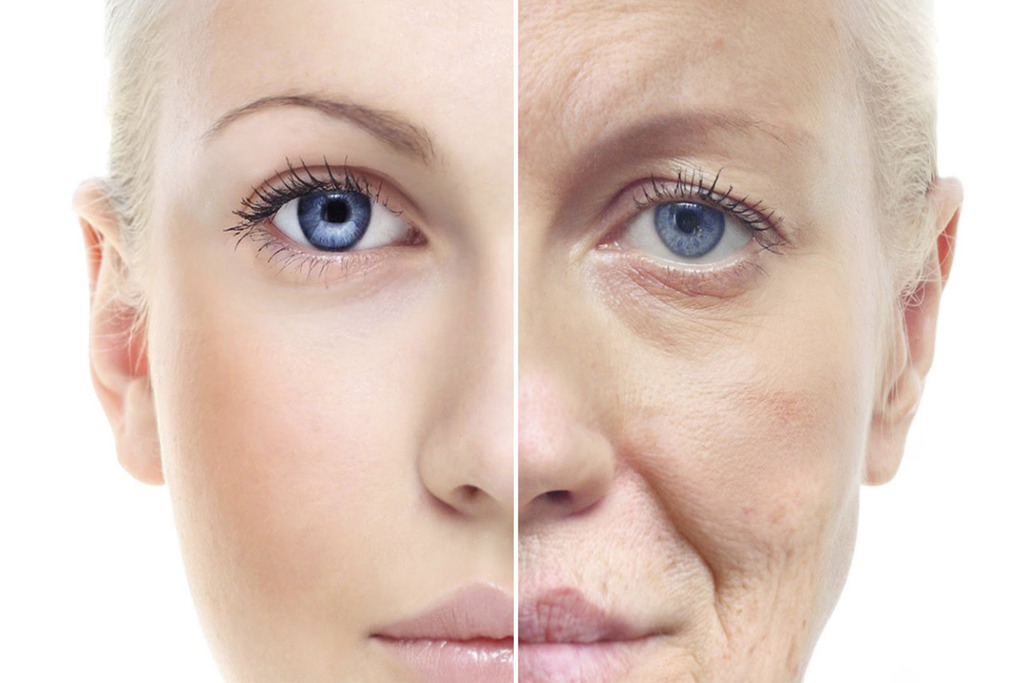 Scientists Developed Gene Therapy That Could Reverse Aging - Science ...