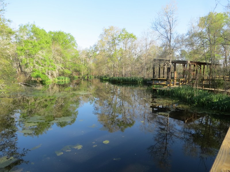 Texas Nature: Armand Bayou Nature Center Part 1