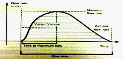 Ramayya Pramila Urology Hospital: UROFLOWMETRY - THE BEST SCREENING ...