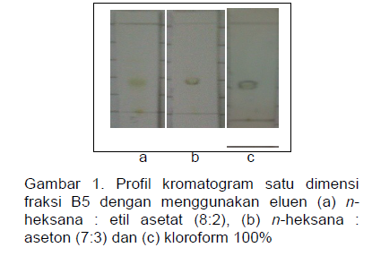KIMIA BAHAN ALAM: PENENTUAN STRUKTUR ALKALOID PADA DAUN KESUM