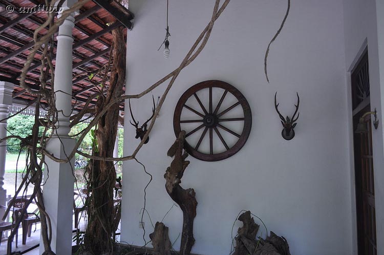 SEVEN SAY Reception Halls - Veyangoda, Gampaha | WeddingChannel - Blog