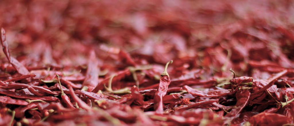 Hottest Chillies in India