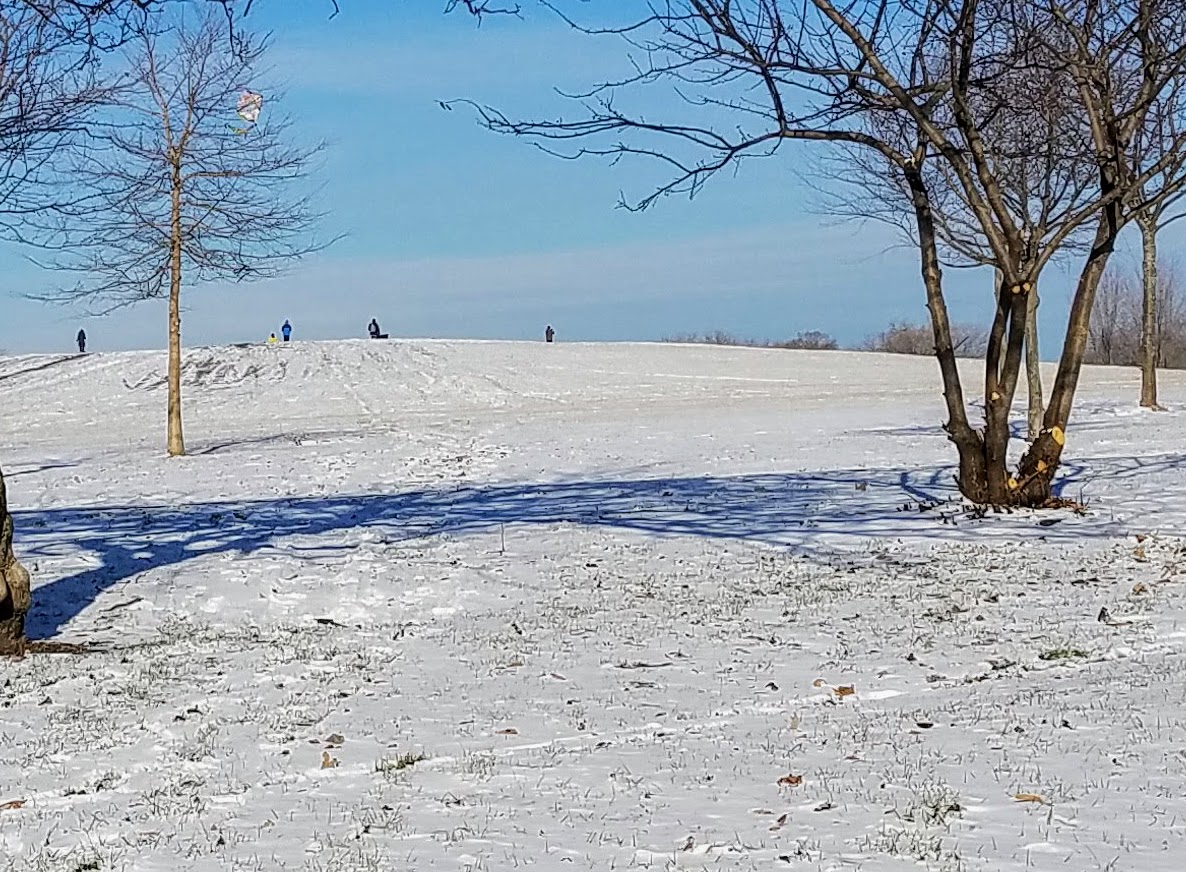 Uptown Update: Winter Wonderland At Montrose Harbor