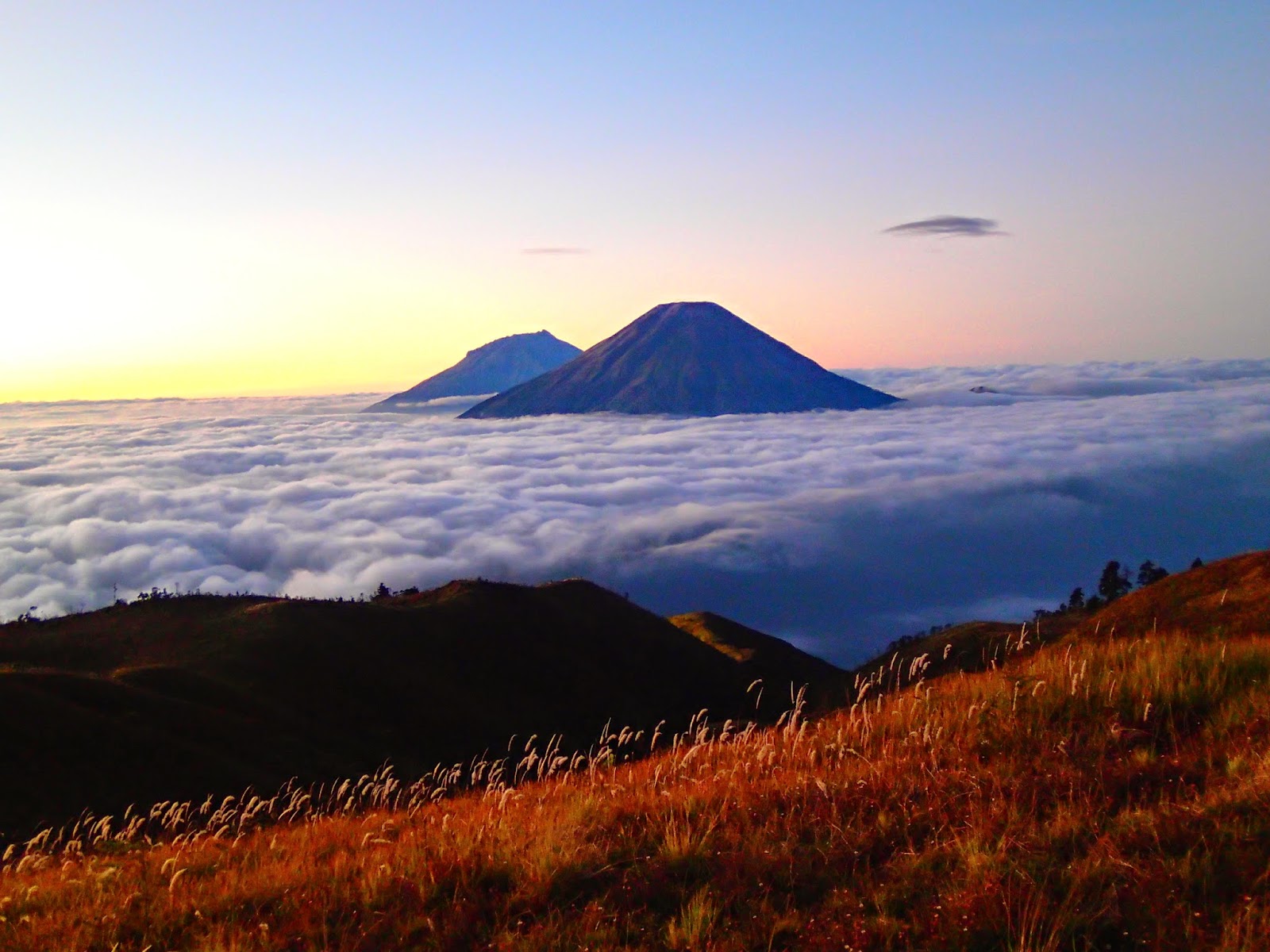 Pemandangan Gunung Prau - Perumperindo.co.id