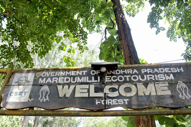 Maredumilli Forest - See what I see everyday!!!