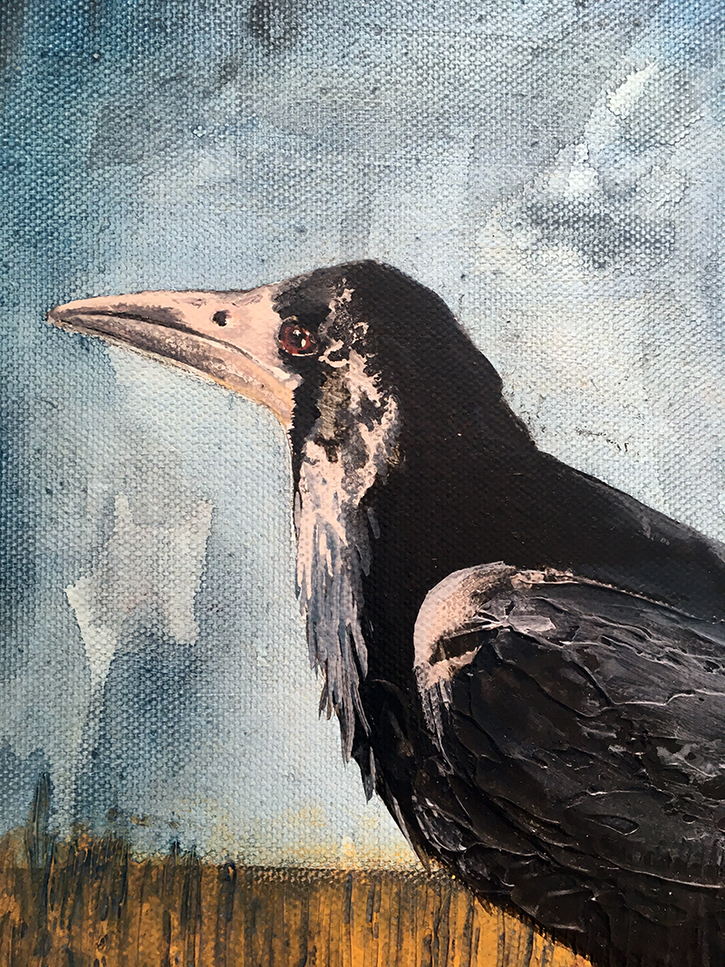 Linda Kemshall: Did you know DMTV has a shop?