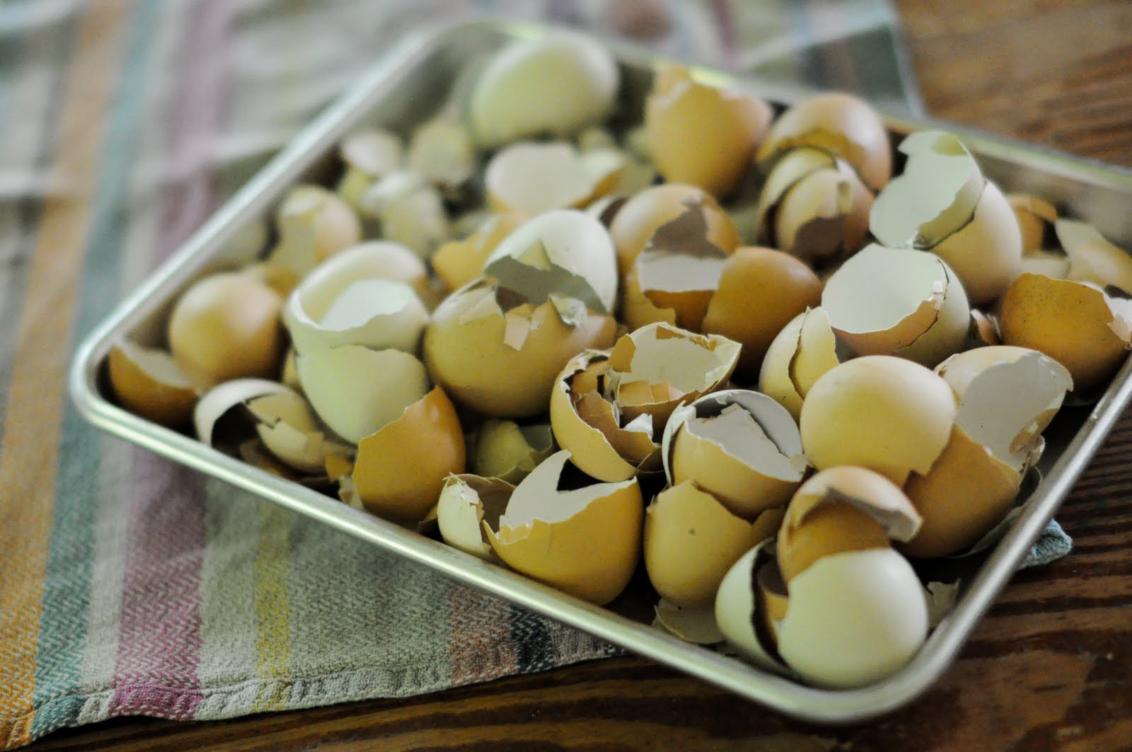 Friday Craft: Eggshell Mosaic