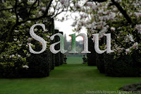 Sanu Name Wallpapers Sanu ~ Name Wallpaper Urdu Name Meaning Name ...