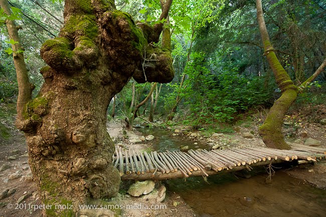 SAMOS-MEDIA: A short visit to the Potami valley