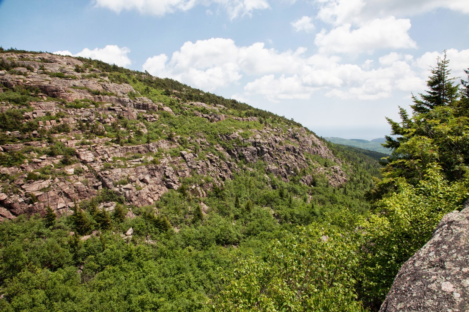 Acadia National Park | Bear Count