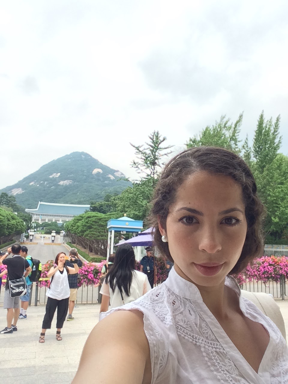 Asia on E Street: Cheong Wa Dae, The Blue House- Hoyer- SNU- Summer ...