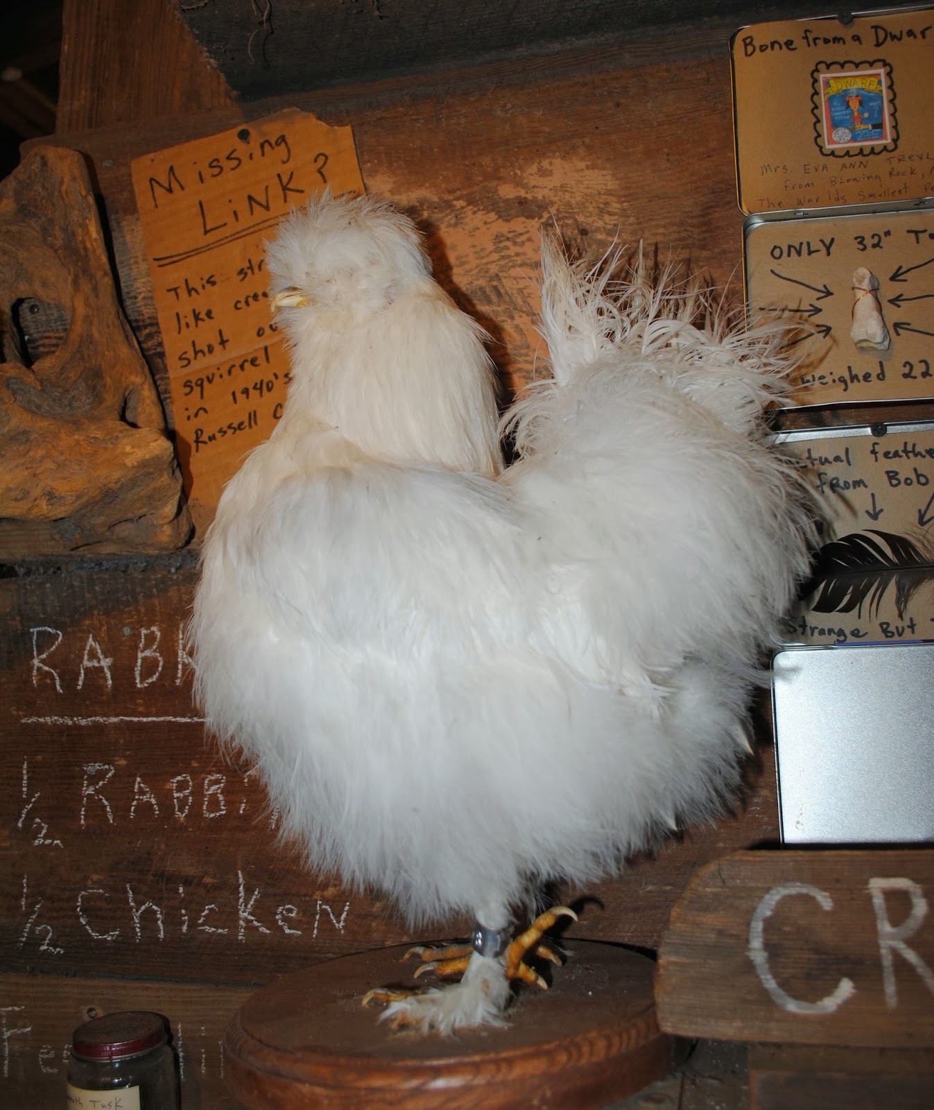 The Carpetbagger: The Alabama Museum of Wonder