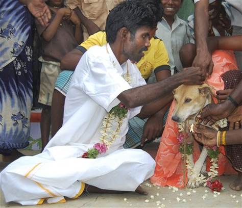 World Facts: In India It Is Legal To Marry a Dog