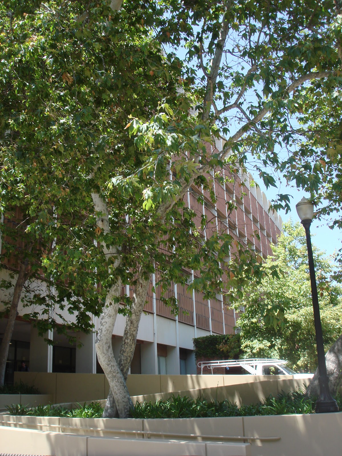 Follow My Bliss: A Day On Campus at UCLA May 2012