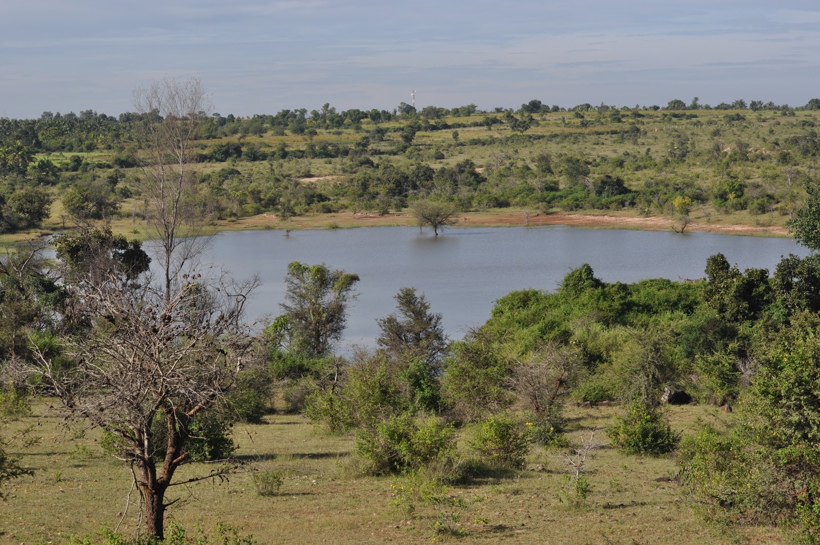 Maithreya India: Gunduthopu, Gomala and Kaval Lands of Karnataka