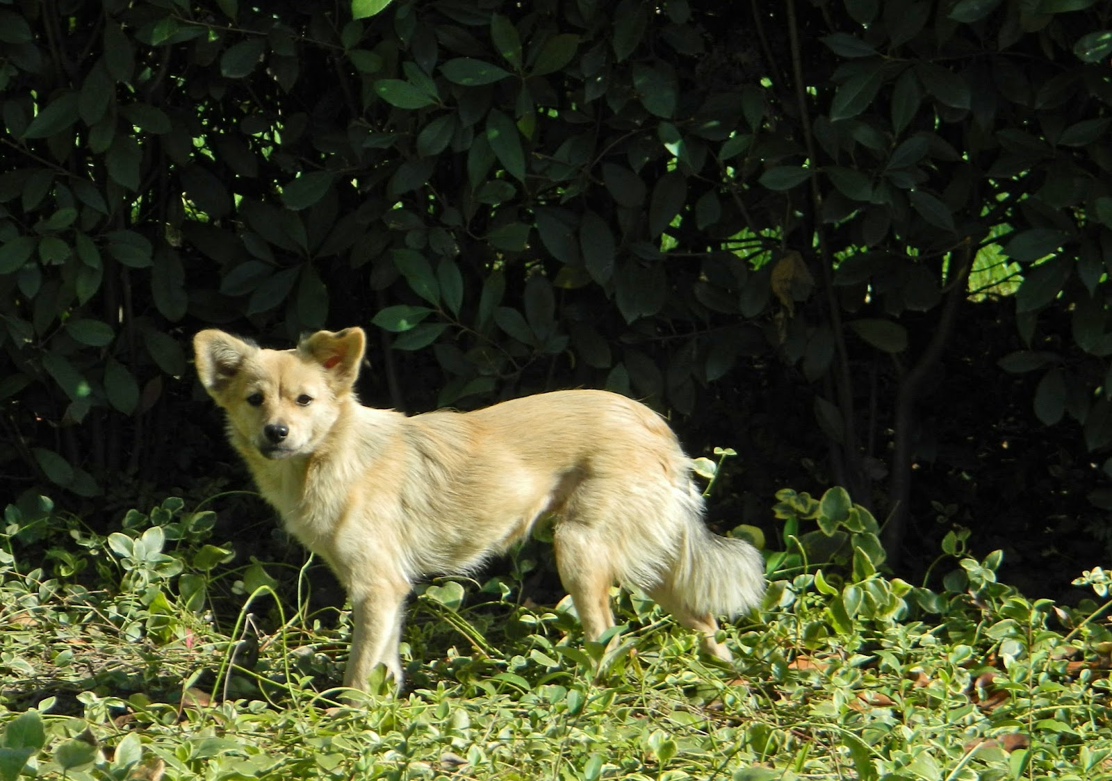 Jax Stumpes: Shanghai Brand & Matchbox Label Museum (11/3/2012)