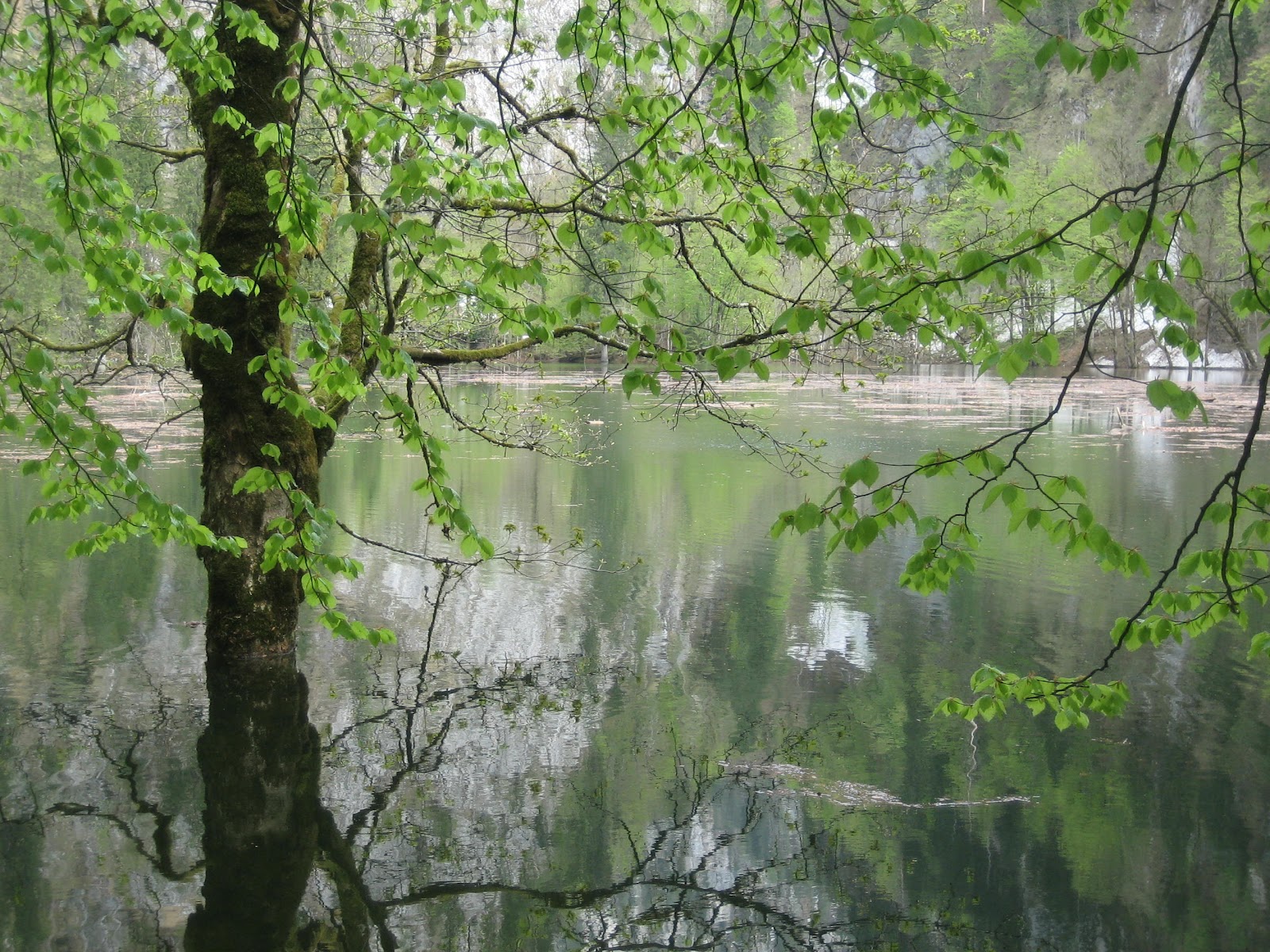 mal-ta: The Traun River and the 3 lakes-the Grundlesee, Toplitzsee and ...