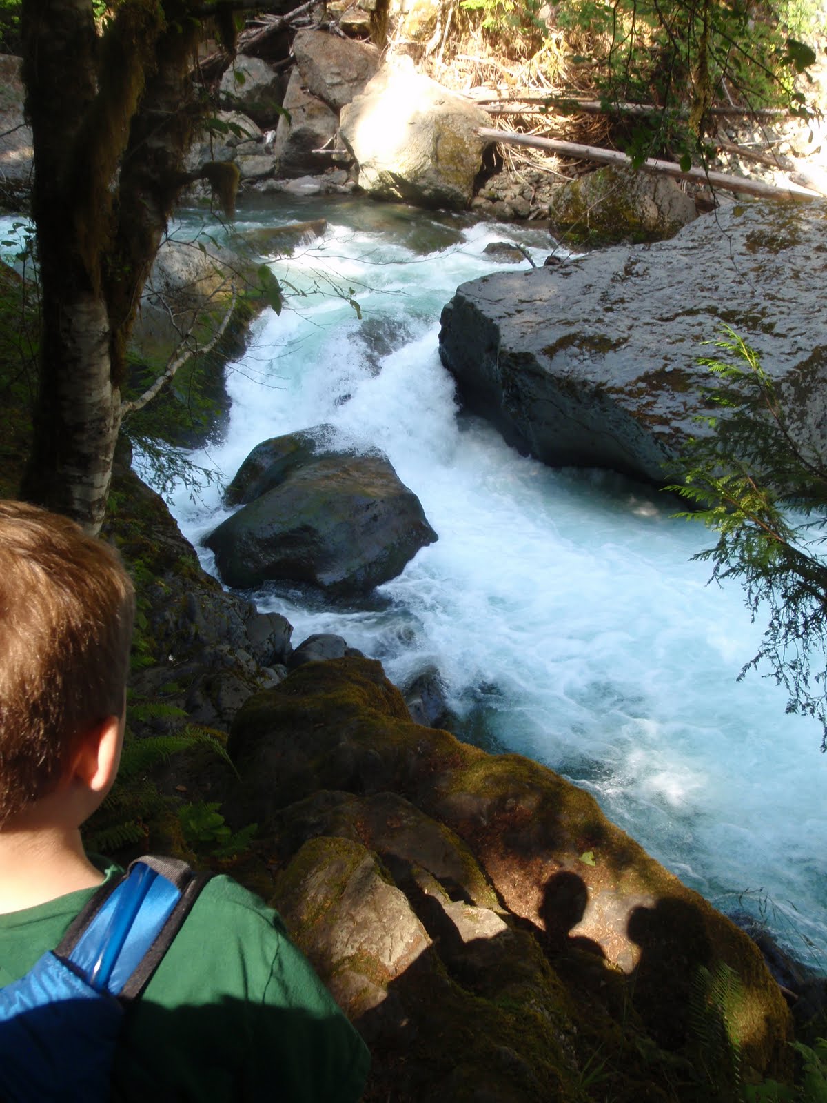 Blunoz Random Ramblings: Olympic National Park - Staircase Rapids Hike