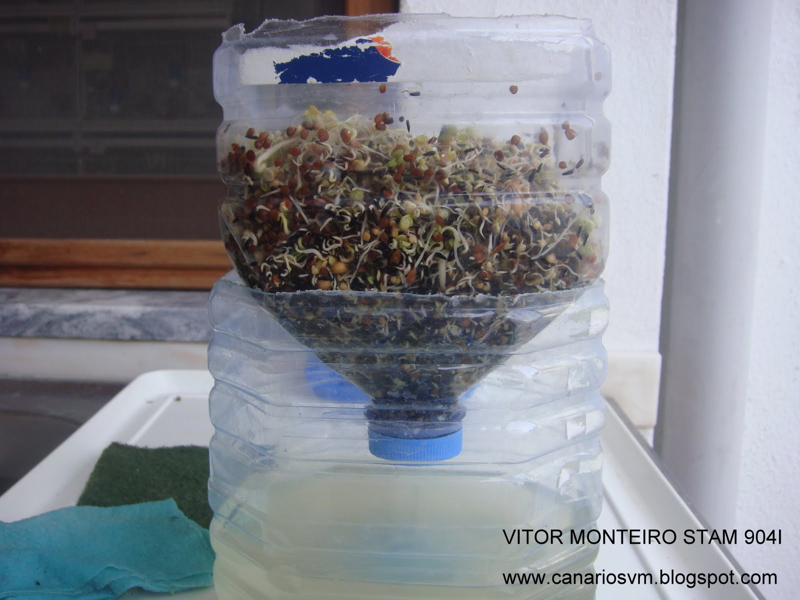 Universo dos Alimentos²: Germinadores caseiros