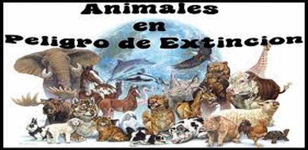 LOS ANIMALES ~ cienciasnaturales