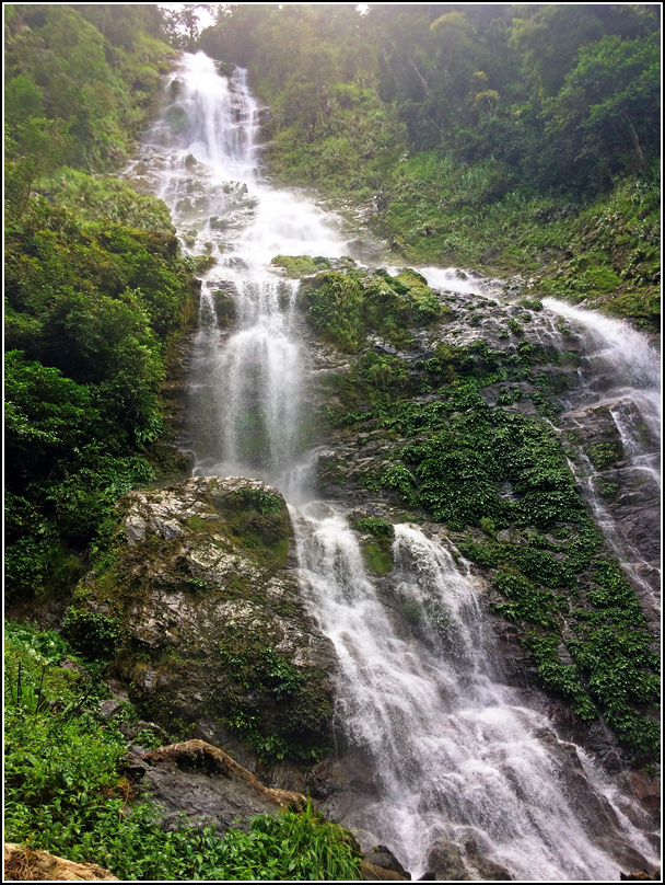 Explorations of an Ecologist: Borneo - Part 4 (Poring Hot Springs)