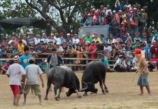 mybeautifulILOILO: Pasungay and Pahibag: Honouring the Community’s ...