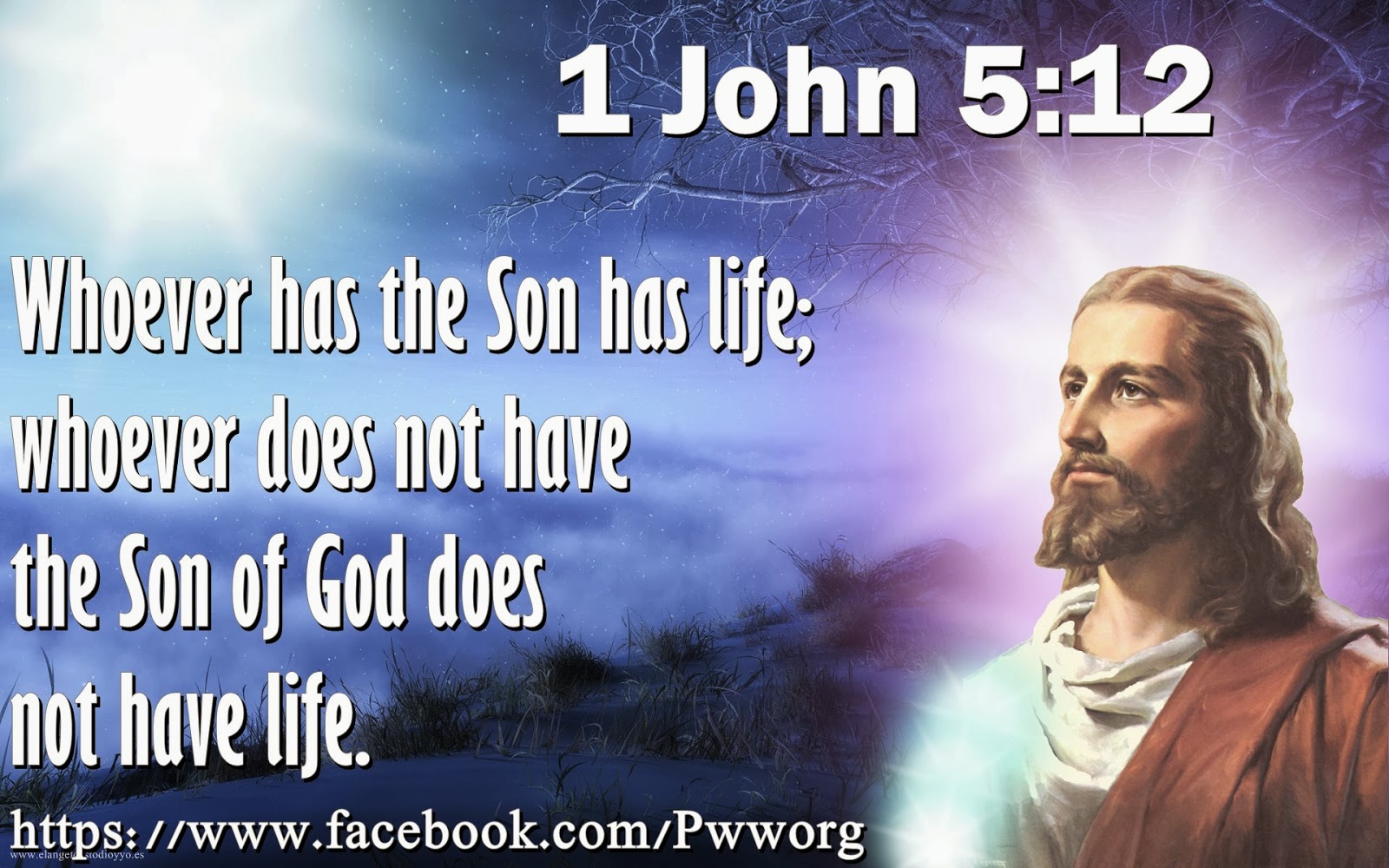 Peace Worldwide 1 John 5 12