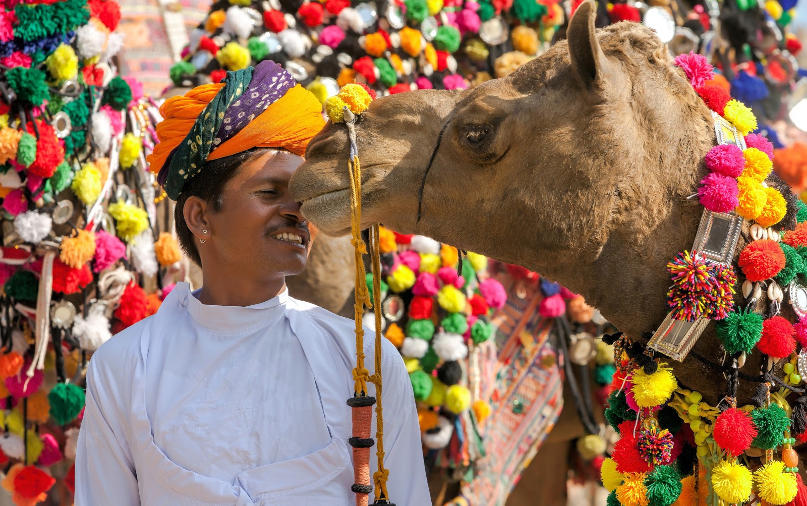 Travel & Adventures: Pushkar ( पुष्कर ). A voyage to Pushkar, Eastern ...