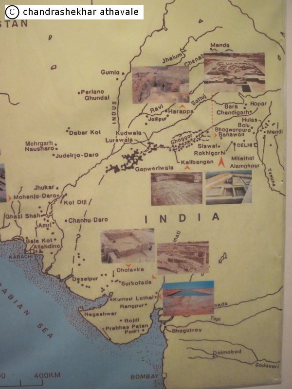 The Surkotada horse, Part III | Sand Prints