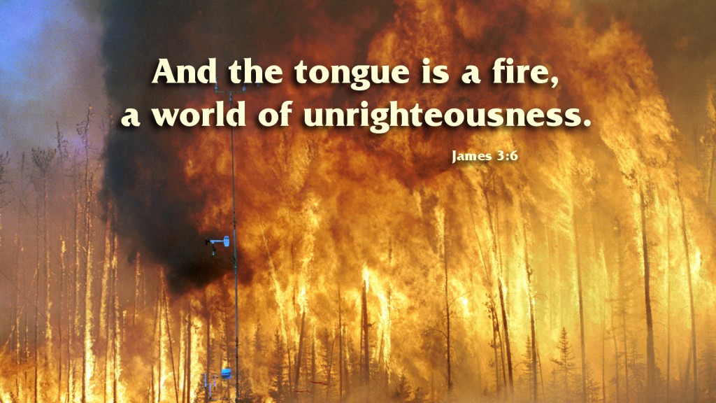 Wisdom in our Speech {James 3} - Women in the Word