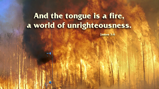 Wisdom in our Speech {James 3} - Women in the Word