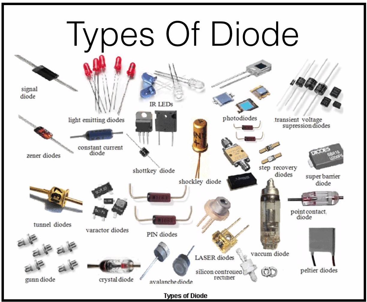 JENIS DIODE | Buat Sendiri Aja