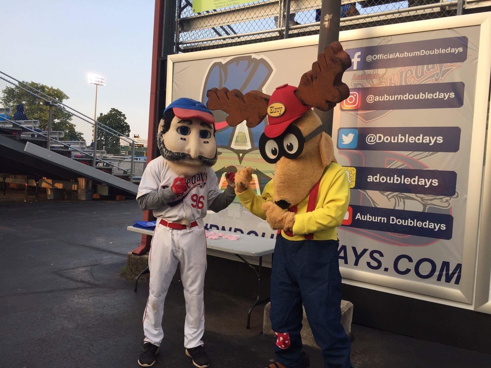 BPOE Central District 6300: BPOE 474 ( Auburn NY) Drug Awarness