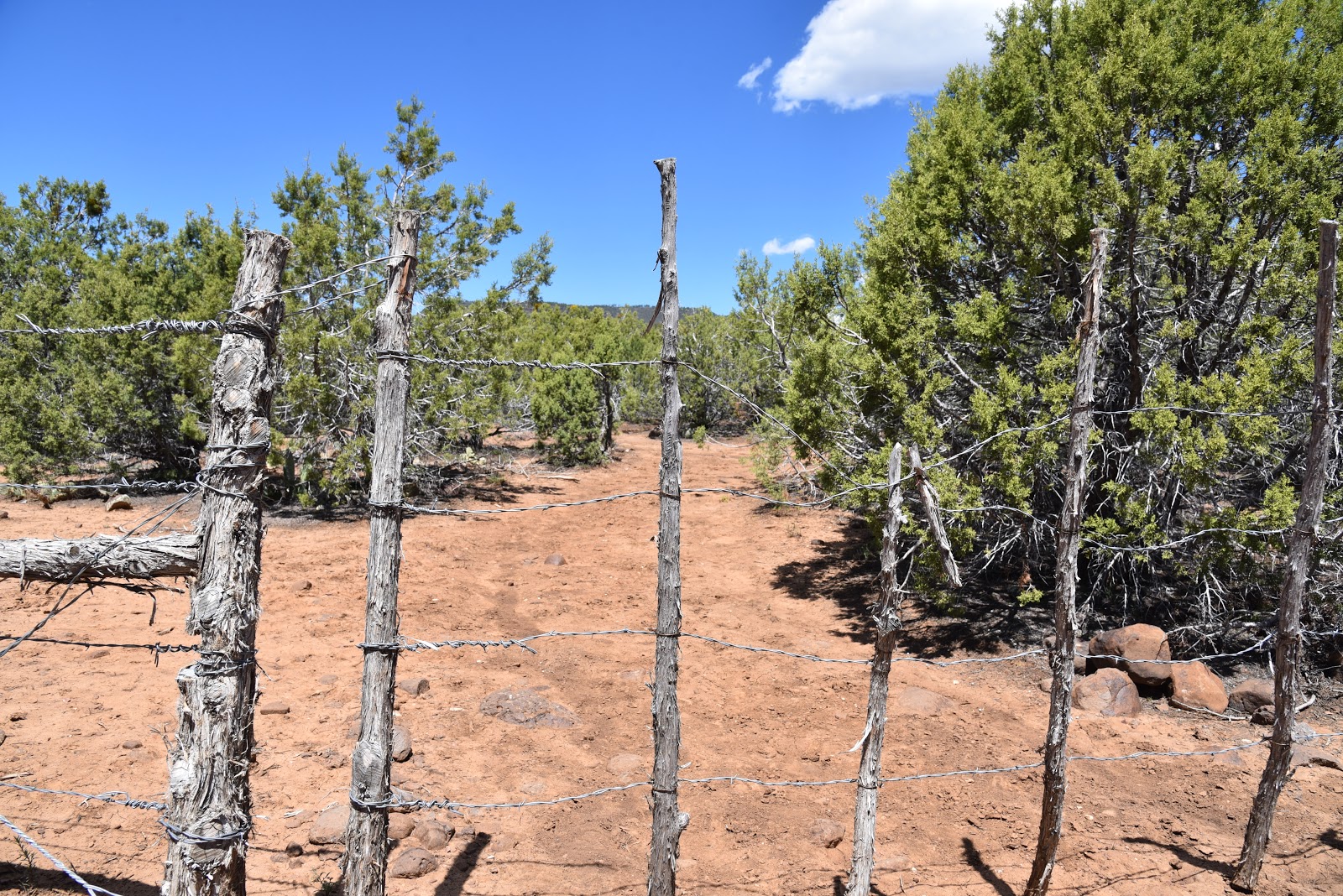 Arizona Hiking: CEDAR MESA