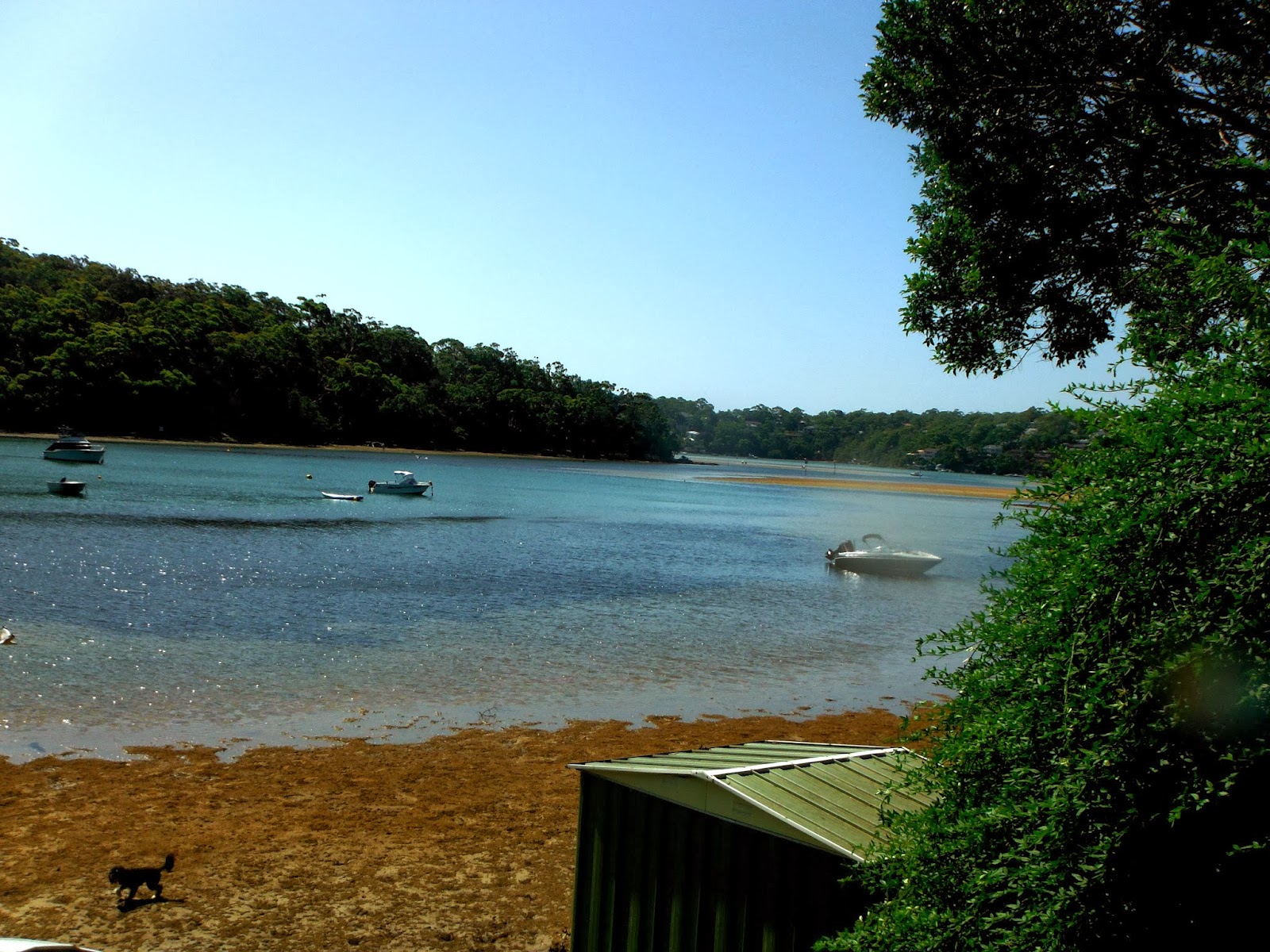 Diet ~ Lifestyle ~ Beauty: Visits to ... Maianbar!!!