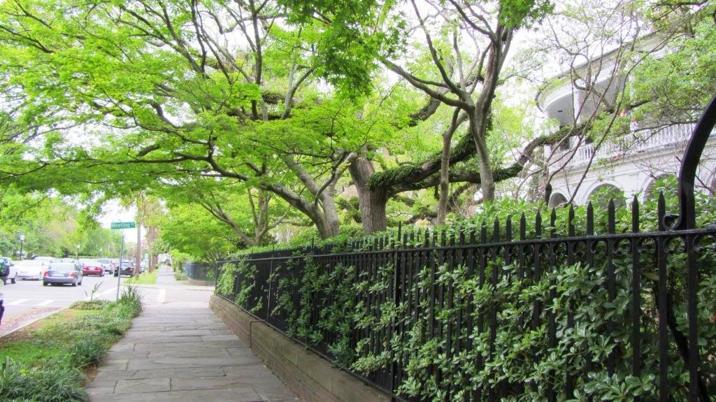 Design Sensible: A Spring Break destination in SC, Charleston