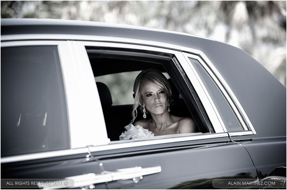 Jennifer J Events: Jamie + Asher - Platinum Style at Vizcaya!