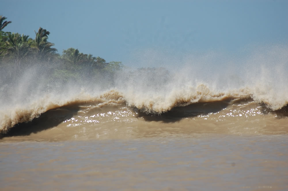 Surfando na Pororoca: Fenômeno Pororoca
