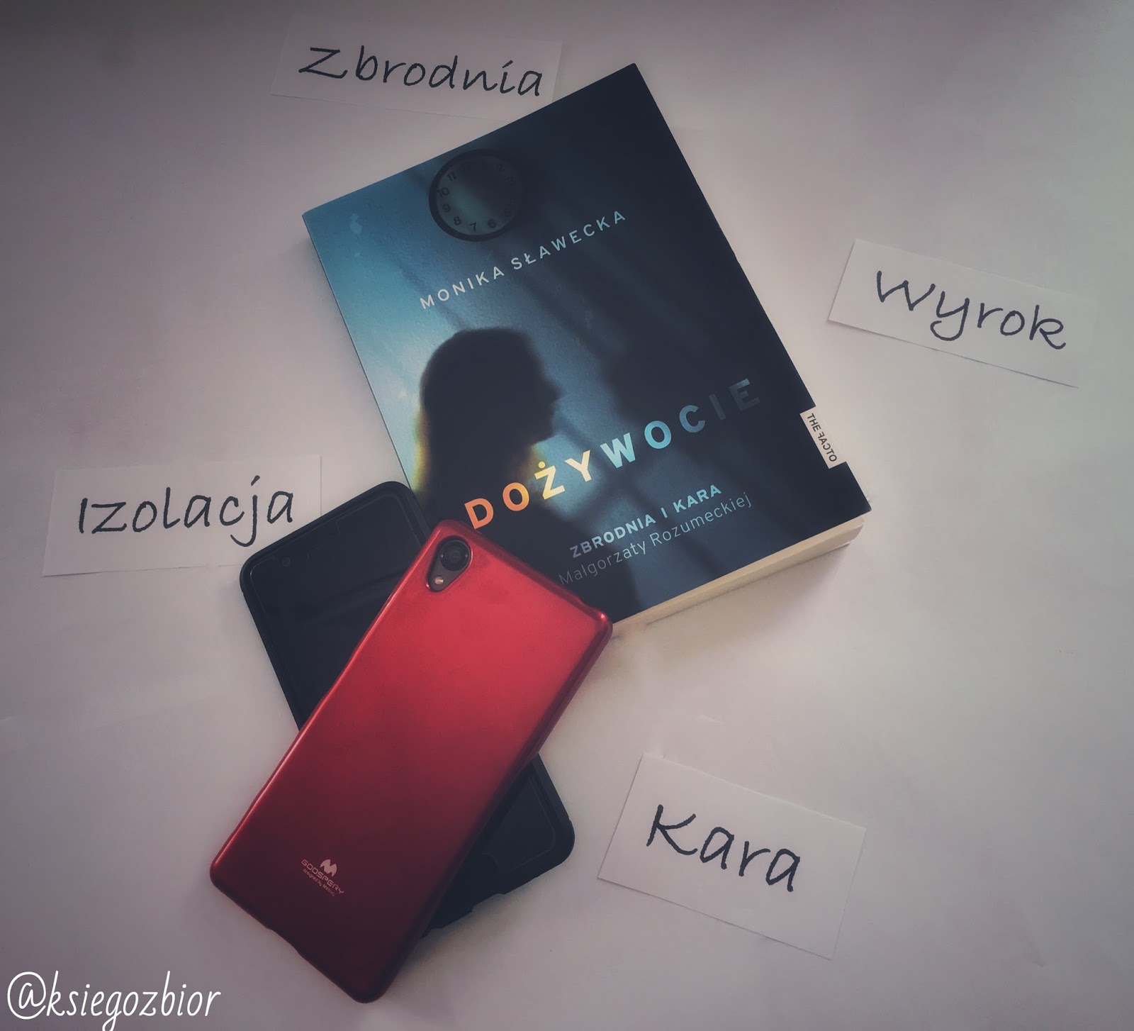 Ksiegozbiór: Dożywocie. Zbrodnia i kara Małgorzaty Rozumeckiej