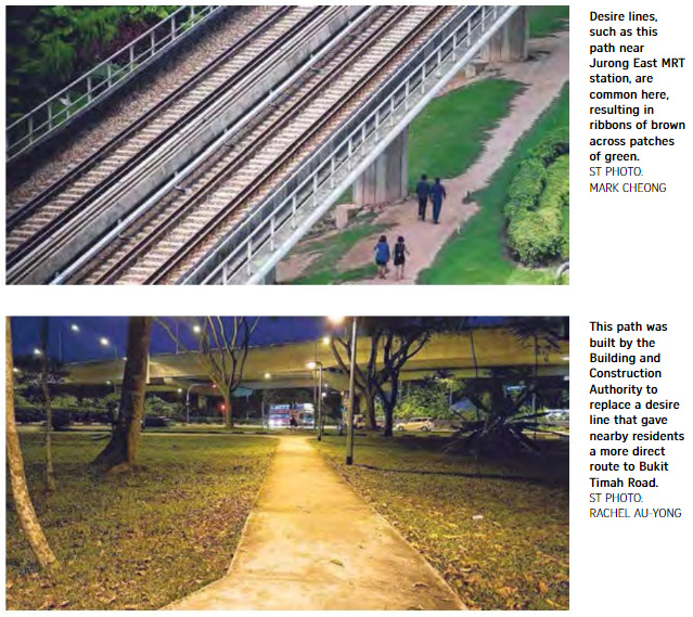 If Only Singaporeans Stopped to Think: Desire lines: Well-trodden paths ...
