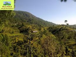 DWARAHAT TRAVEL GUIDE